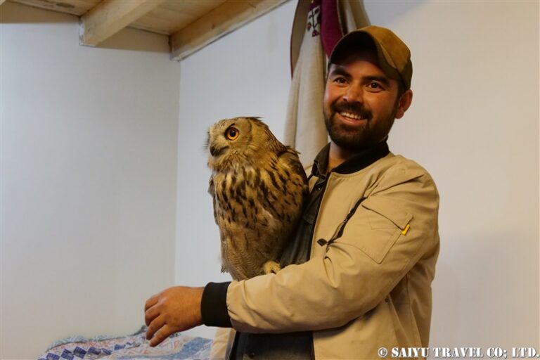 Eurasian eagle-owl at Morkhun village – Re:Discover Pakistan